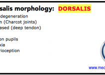 Best USMLE Step 2 CS Mnemonics - Easy CS Mnemonics