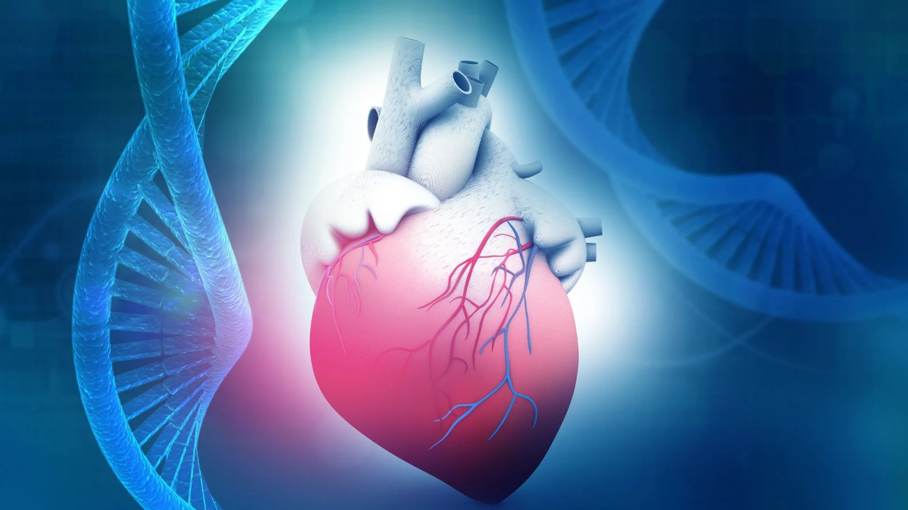 Anti-aging Gene Therapy Injections Could Rewind Heart Age By 10 Years ...
